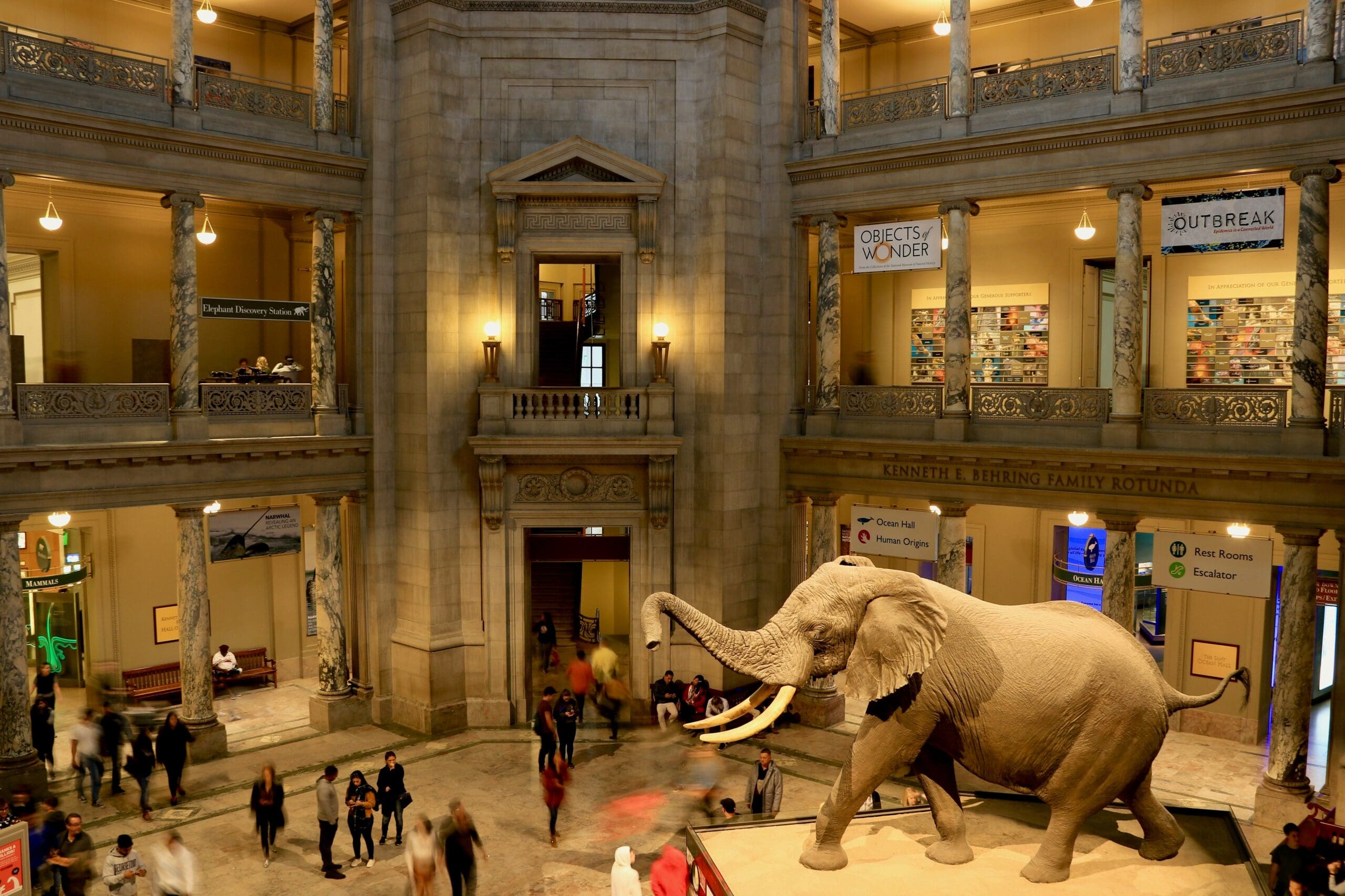 Scavenger Hunt at the Smithsonian National Museum of Natural History ...